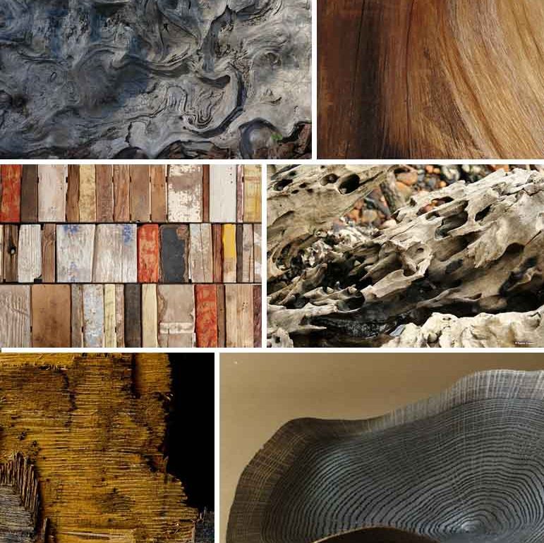 Found Patterns: Petals - Pattern Observer