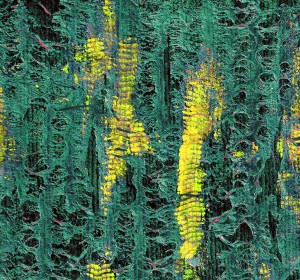 The textures of Galatea - Pattern Observer