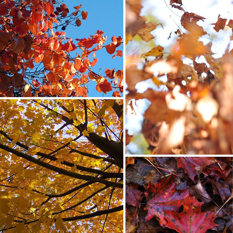 Found Patterns Archives - Page 7 of 11 - Pattern Observer