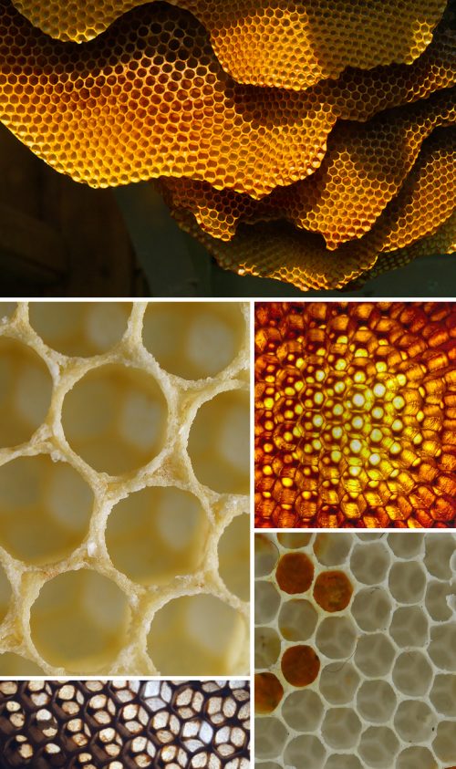 Found Patterns: Honeycomb - Pattern Observer