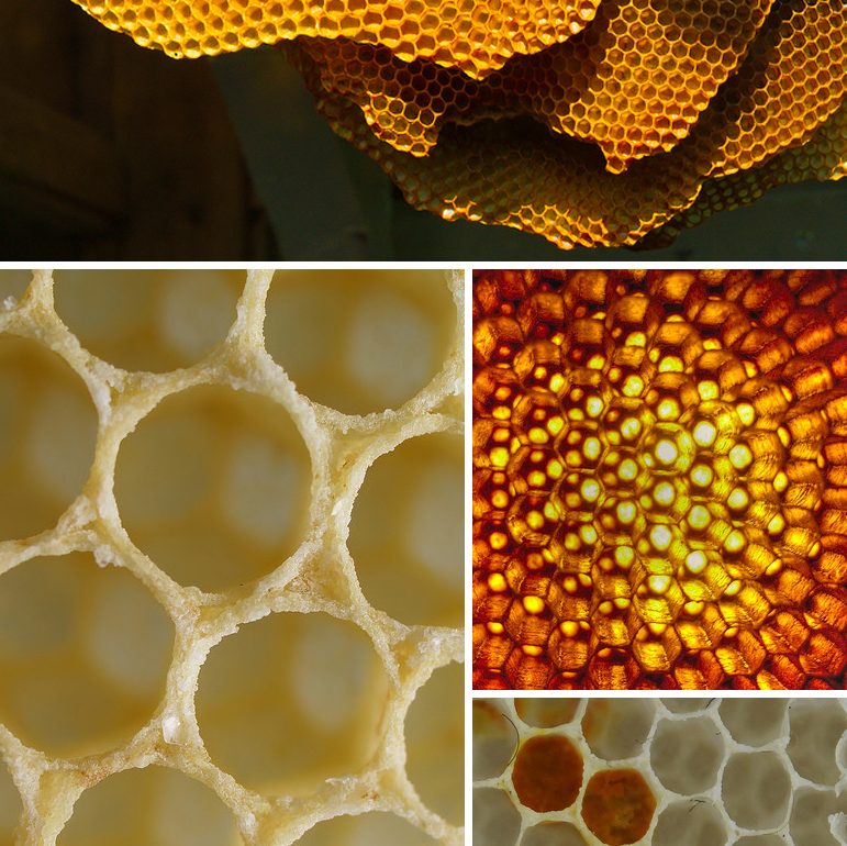 Found Patterns: Around the Cabin - Pattern Observer