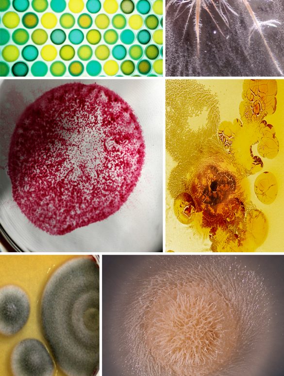 Found Patterns Archives - Page 7 of 11 - Pattern Observer