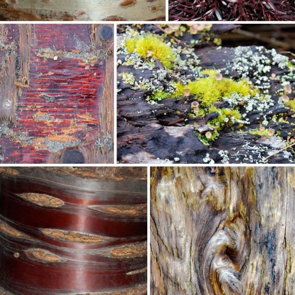 Found Patterns – Page 7 – Pattern Observer