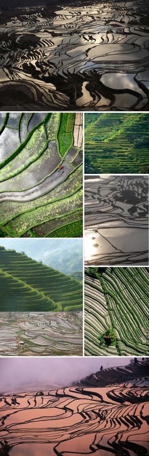 Found Patterns: Rice Terraces - Pattern Observer