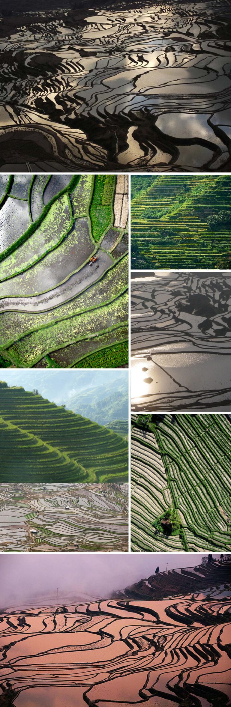Found Patterns: Rice Terraces - Pattern Observer