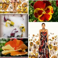 Found Patterns: Ornate Ceilings - Pattern Observer