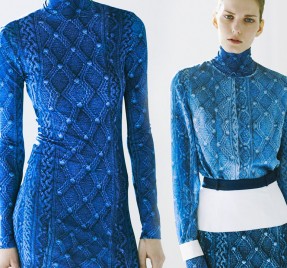 Pre-Fall 2012: Preen - Pattern Observer