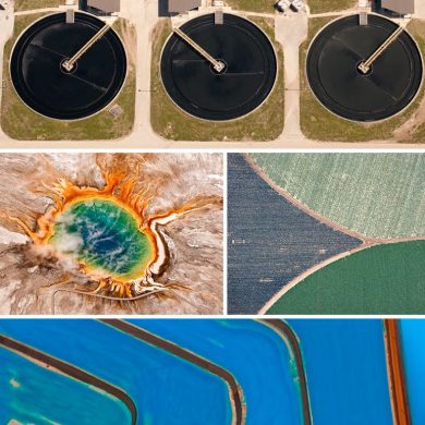 Found Patterns: Bark - Pattern Observer