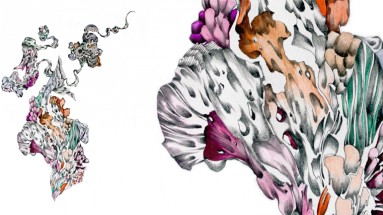 Graphic Designer: Celi Lee - Pattern Observer