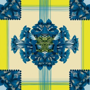 Textile Design: Tali Furman - Pattern Observer