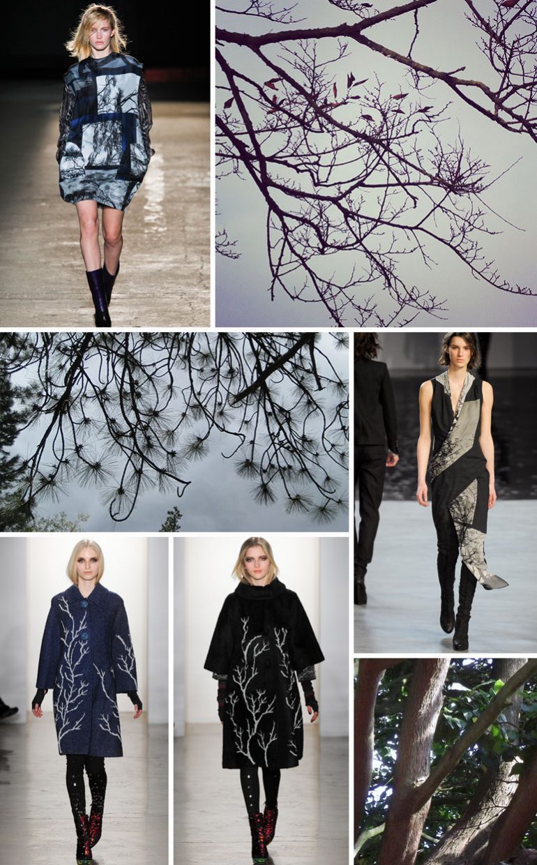 Found Patterns: Tree Branches - Pattern Observer