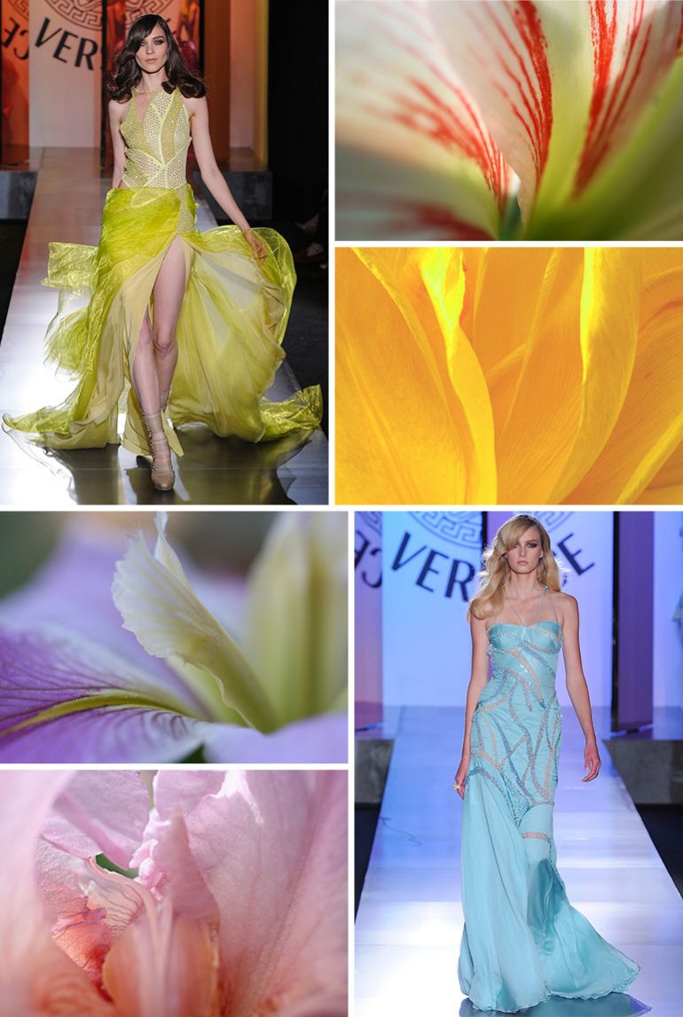 Found Patterns: Petals - Pattern Observer