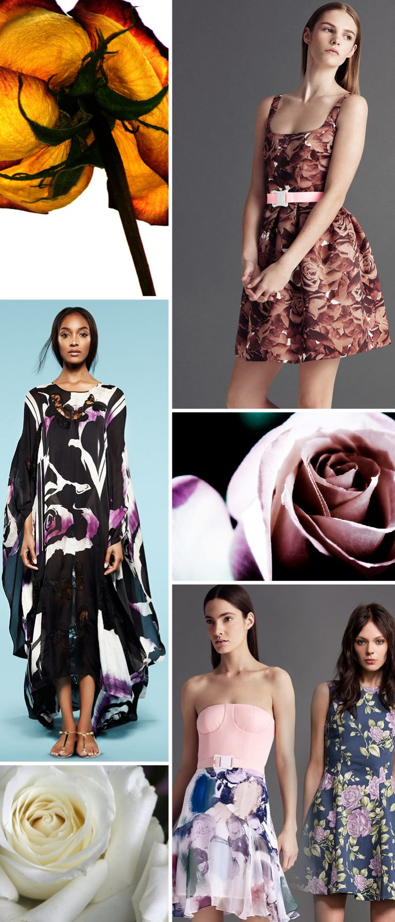 Reviewing Roses while Identifying the Trendsetter - Pattern Observer