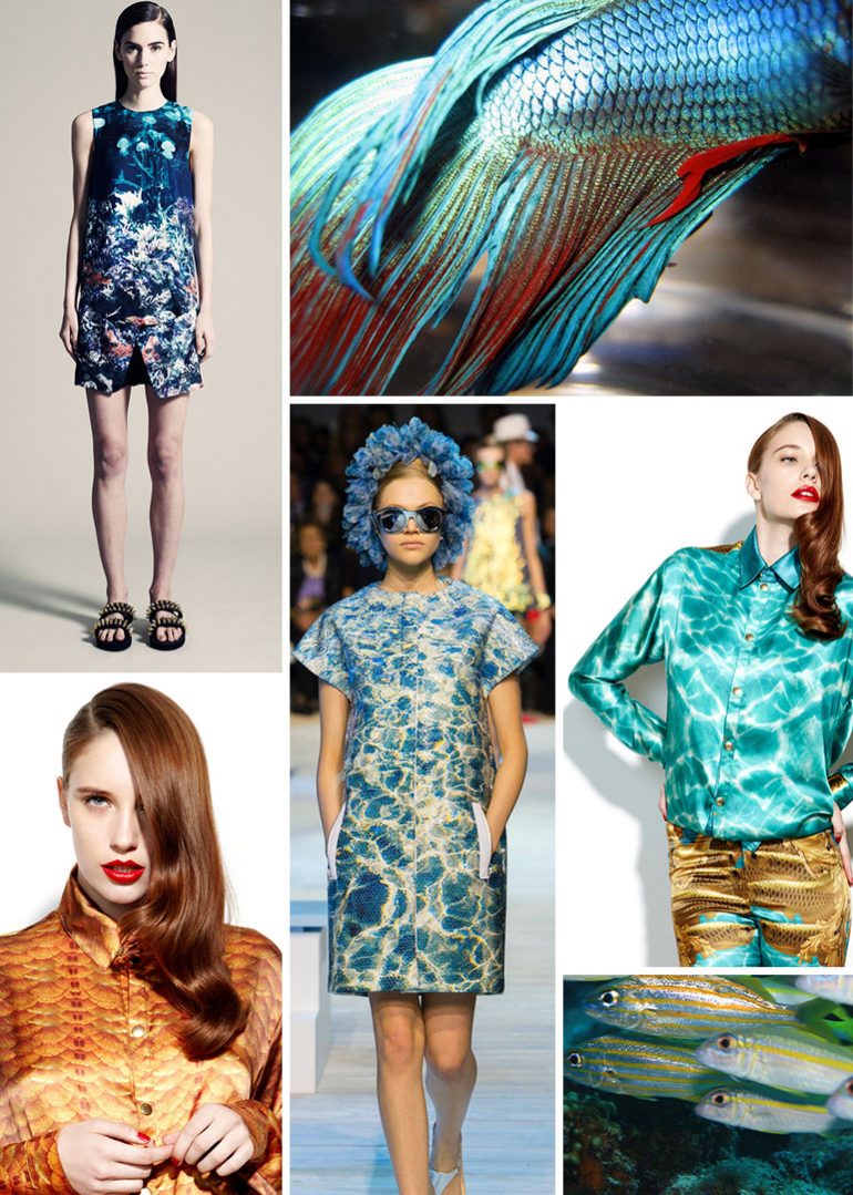 Found Patterns: Under The Sea - Pattern Observer