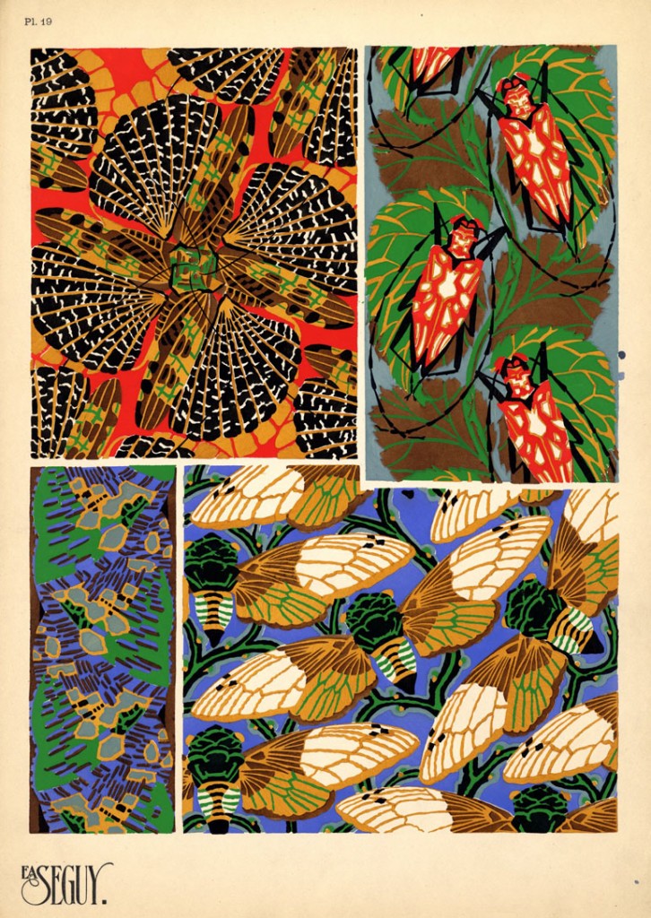 The Other Life of Eugène Séguy, Entomologist - Pattern Observer