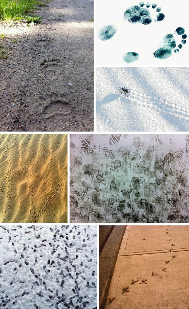 Found Patterns: Footprints - Pattern Observer