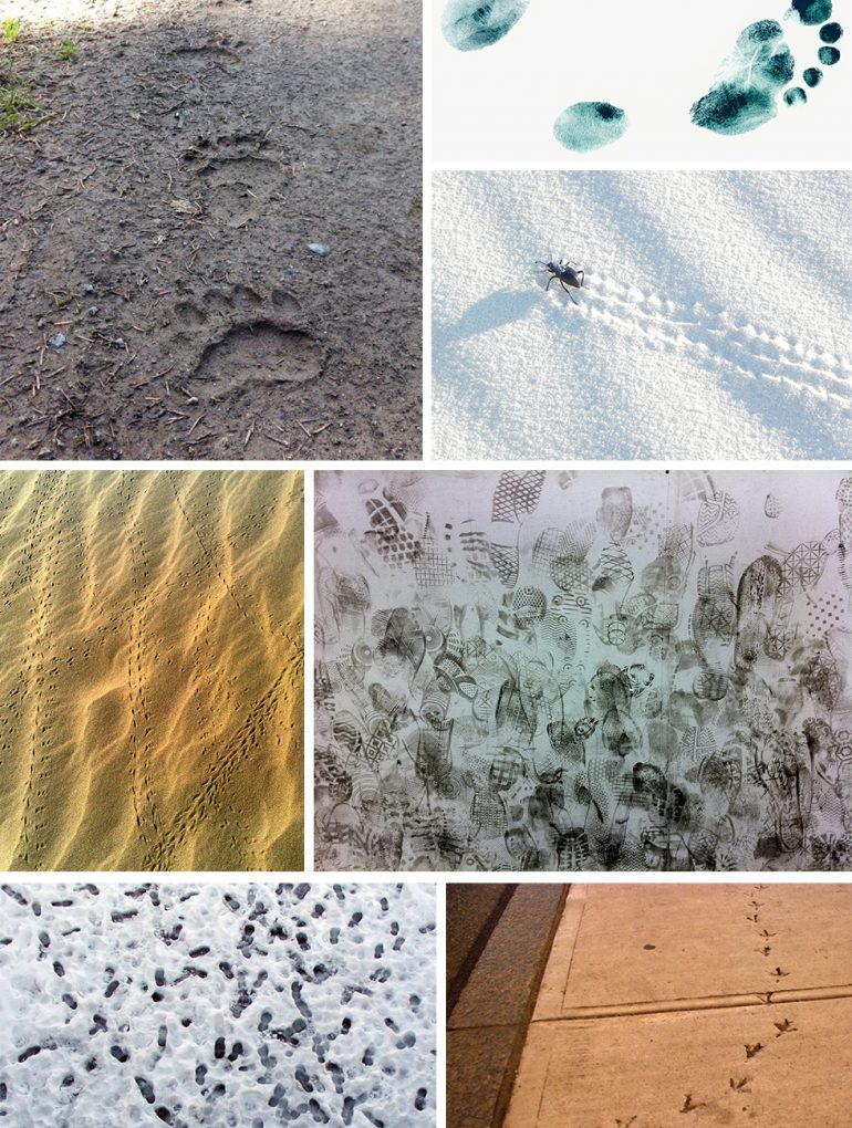 Found Patterns Archives - Page 4 of 11 - Pattern Observer