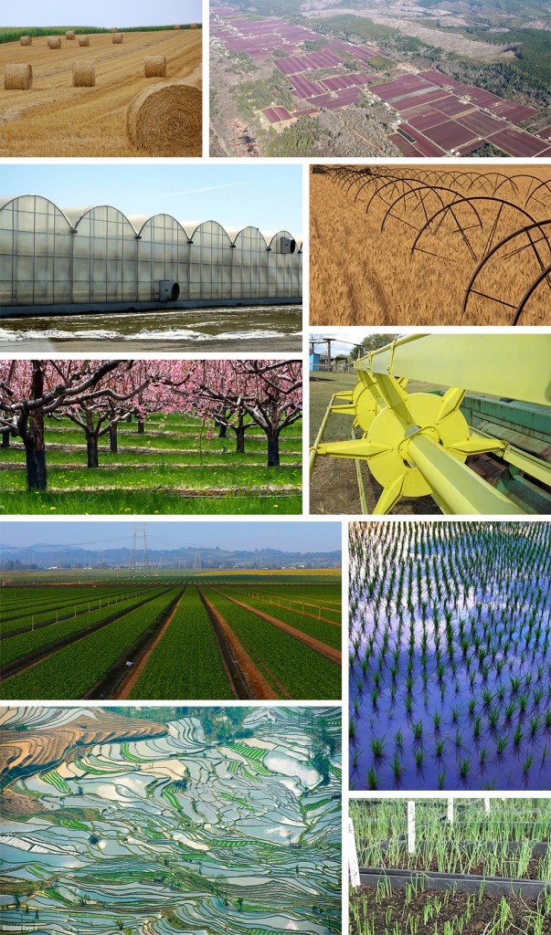 Found Patterns: Agriculture - Pattern Observer