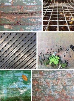 Found Patterns: Around the Cabin - Pattern Observer