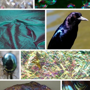 Street Patterns: Feathers - Pattern Observer