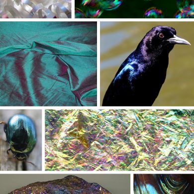 Found Patterns: Banana Leaves - Pattern Observer