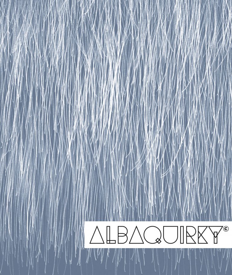 Surtex Preview: Albaquirky - Pattern Observer