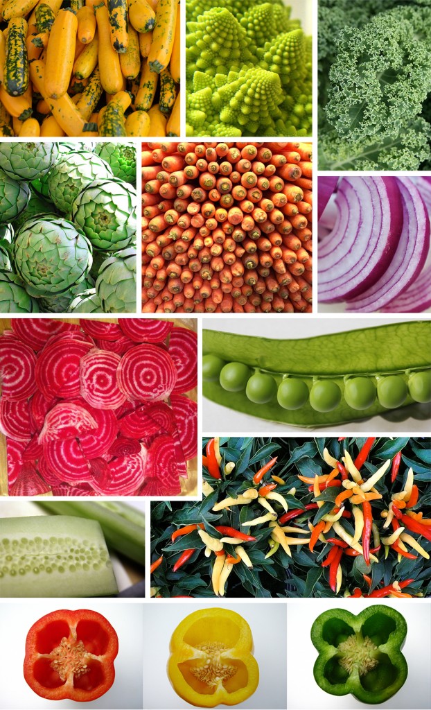 Found Patterns: Vegetables - Pattern Observer