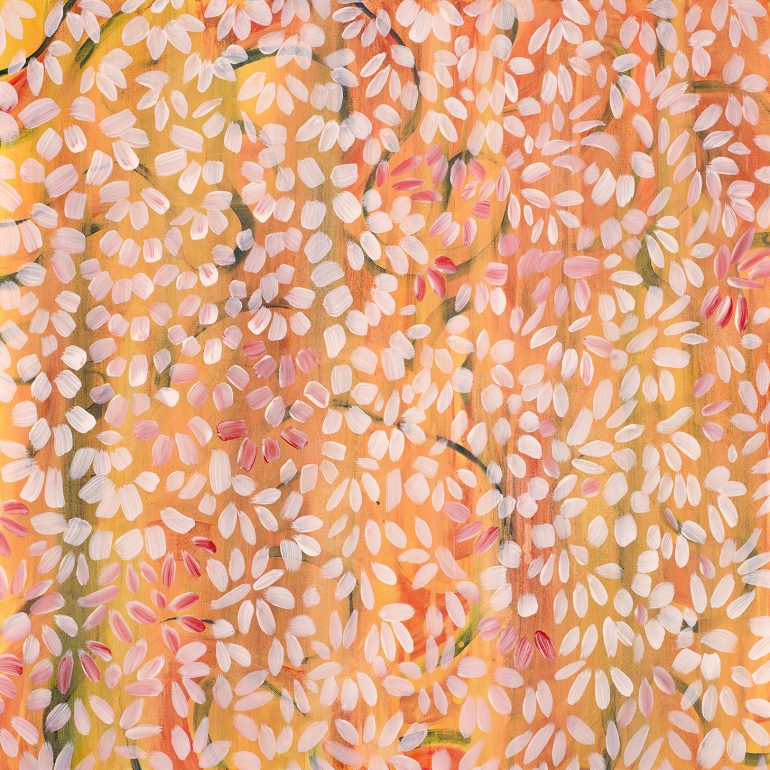 How To Build a Portfolio You Can Be Proud Of - Pattern Observer