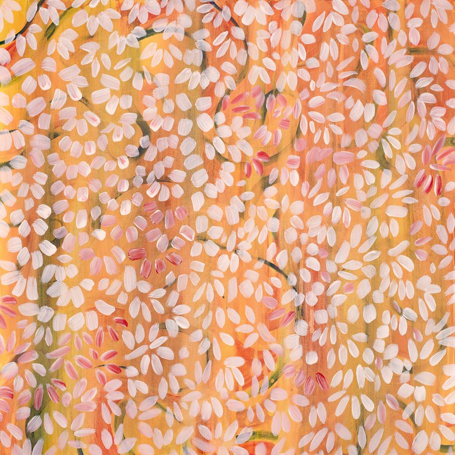 How To Build a Portfolio You Can Be Proud Of - Pattern Observer