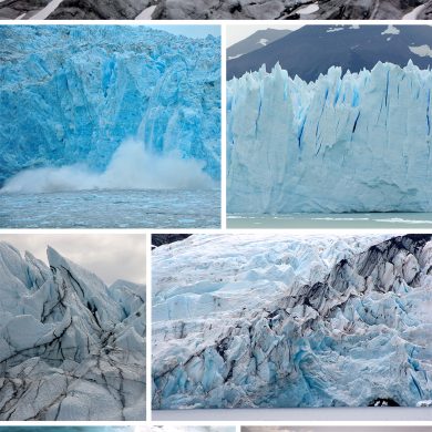 Found Patterns: Bark - Pattern Observer