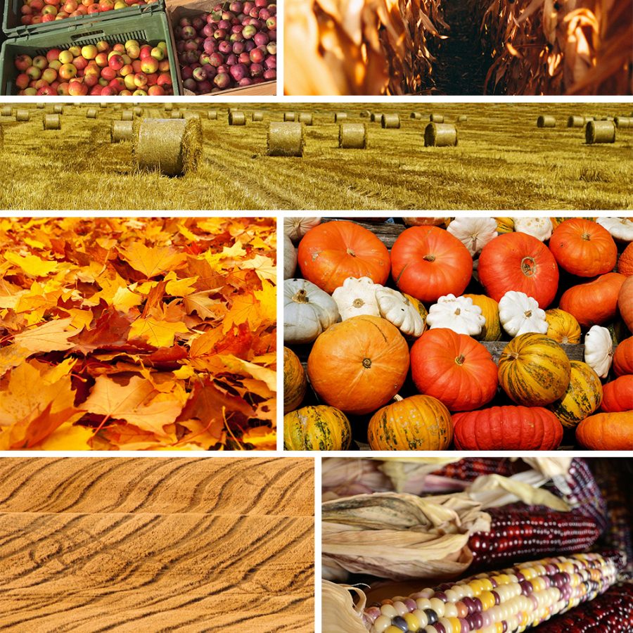 Found Patterns Archives - Pattern Observer