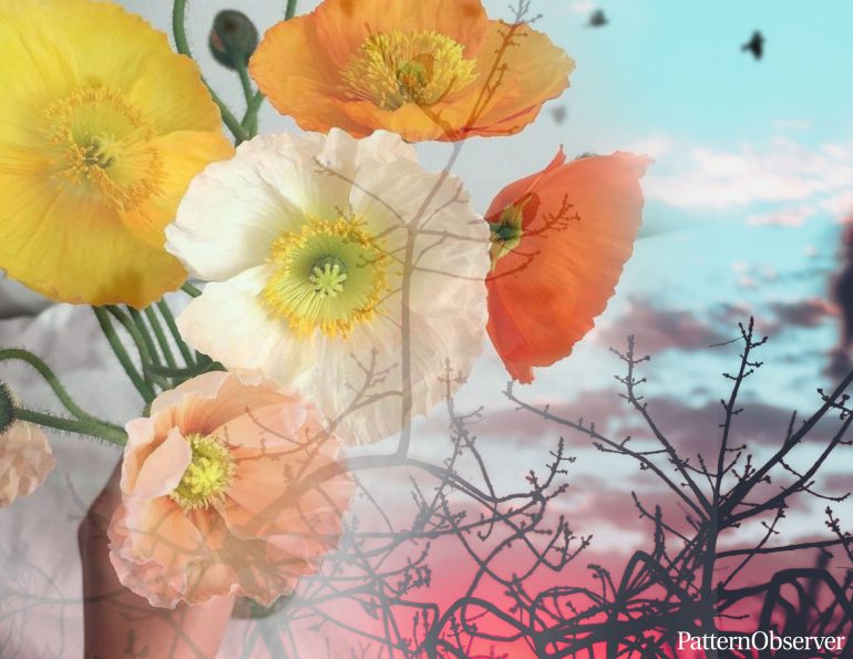 New Design Challenge in the Textile Design Lab: “Romantic Fall ...