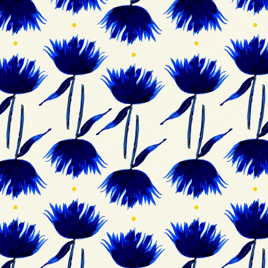 The Other Life of Eugène Séguy, Entomologist - Pattern Observer