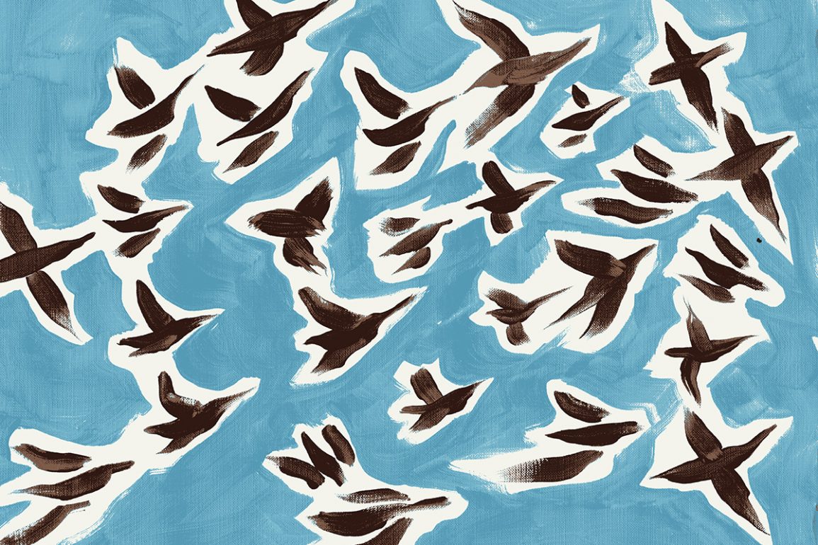 Design Tips and Tutorials Archives - Pattern Observer