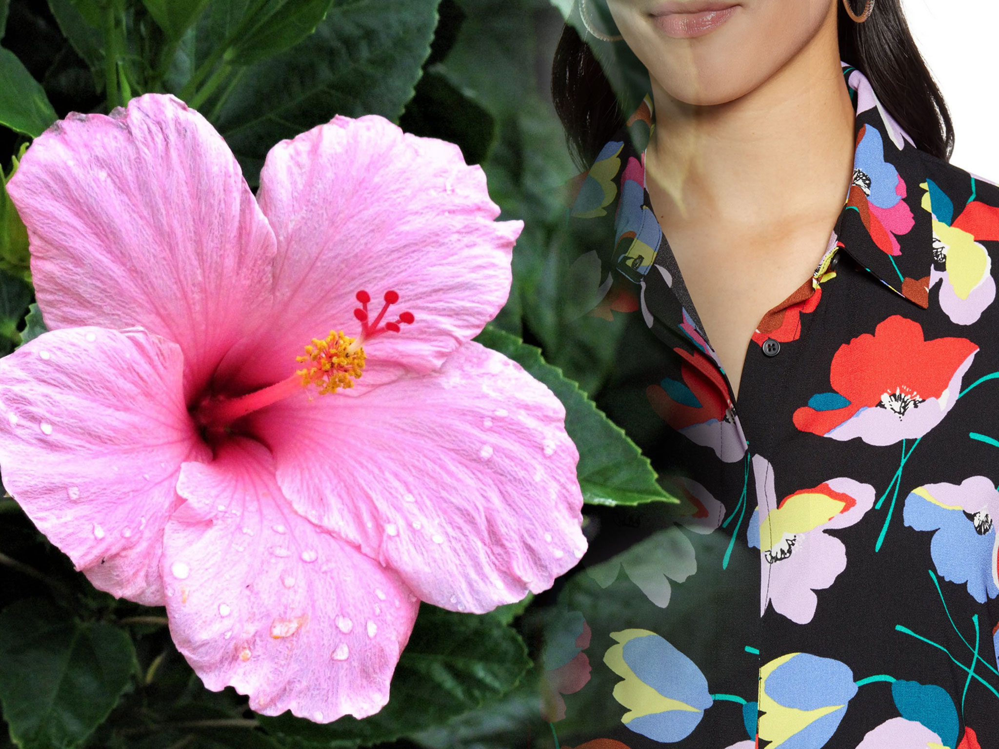 Top 5 Flowers for Surface Pattern Design - Pattern Observer