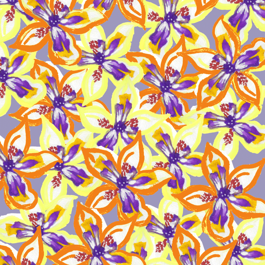 Nature Inspired Patterns By Nancy Carr - Pattern Observer